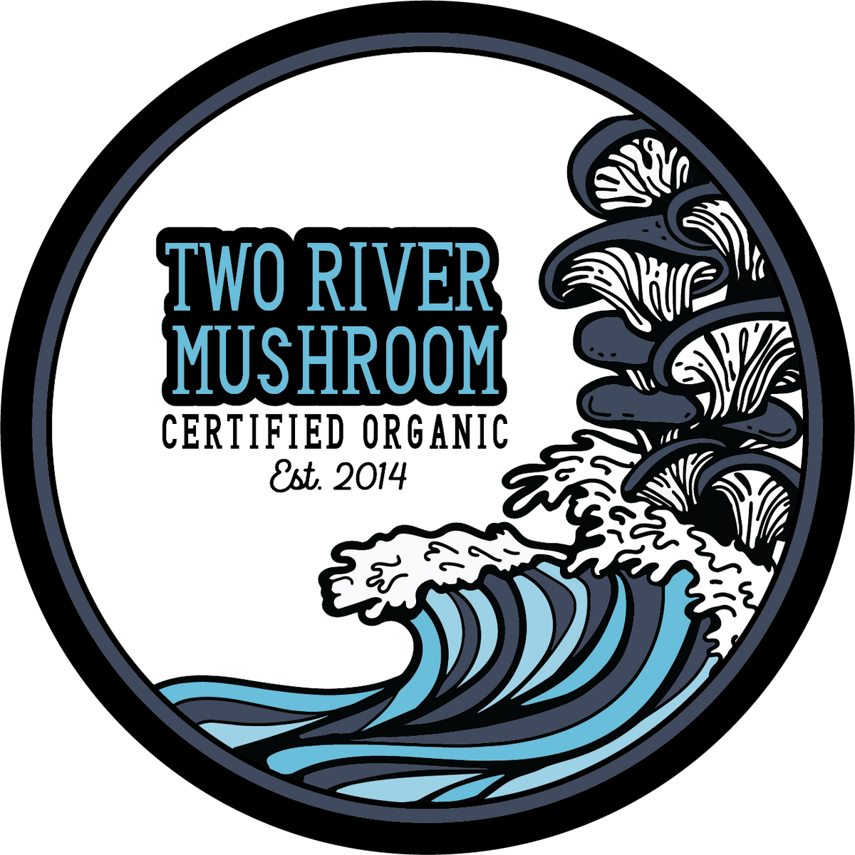 Two River Mushroom Broth – Two River Gourmet Mushroom